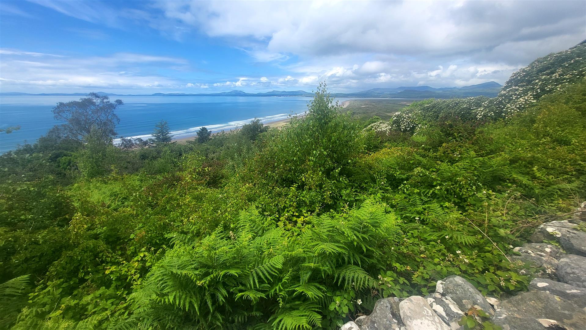 Plot of Land, Nr Pencerrig, LLanfair | Tom Parry